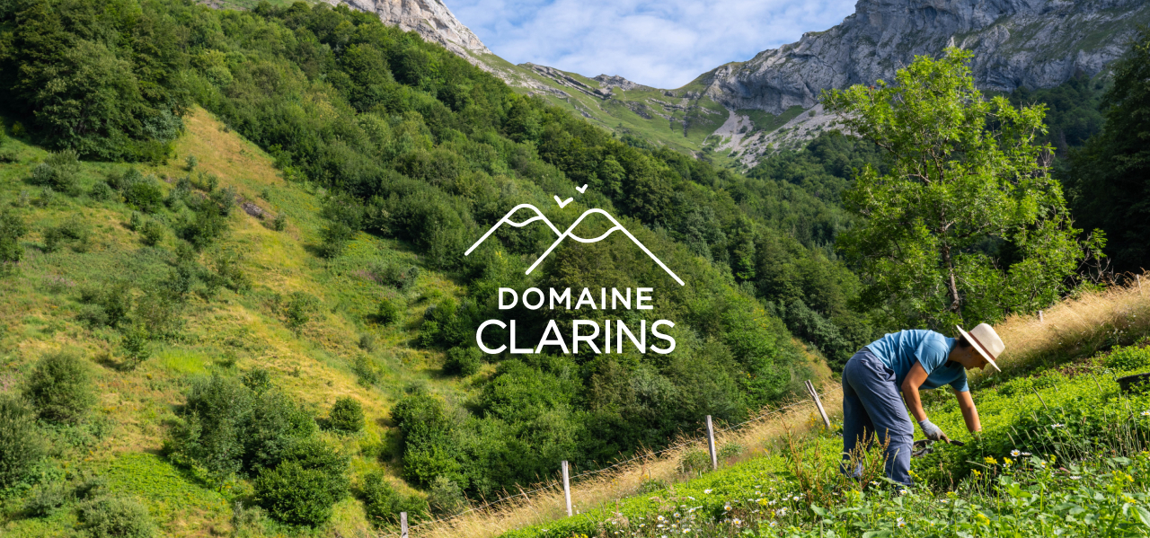 CLARINS UK: Natural Beauty, Skincare and Make-up powered by plants.