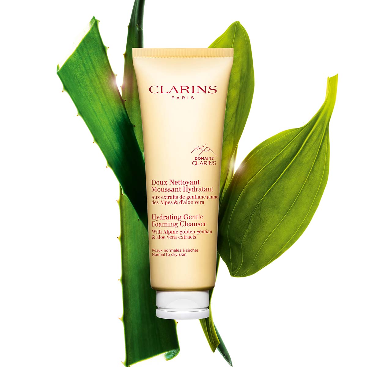 Hydrating Gentle Foaming Cleanser | CLARINS® UK